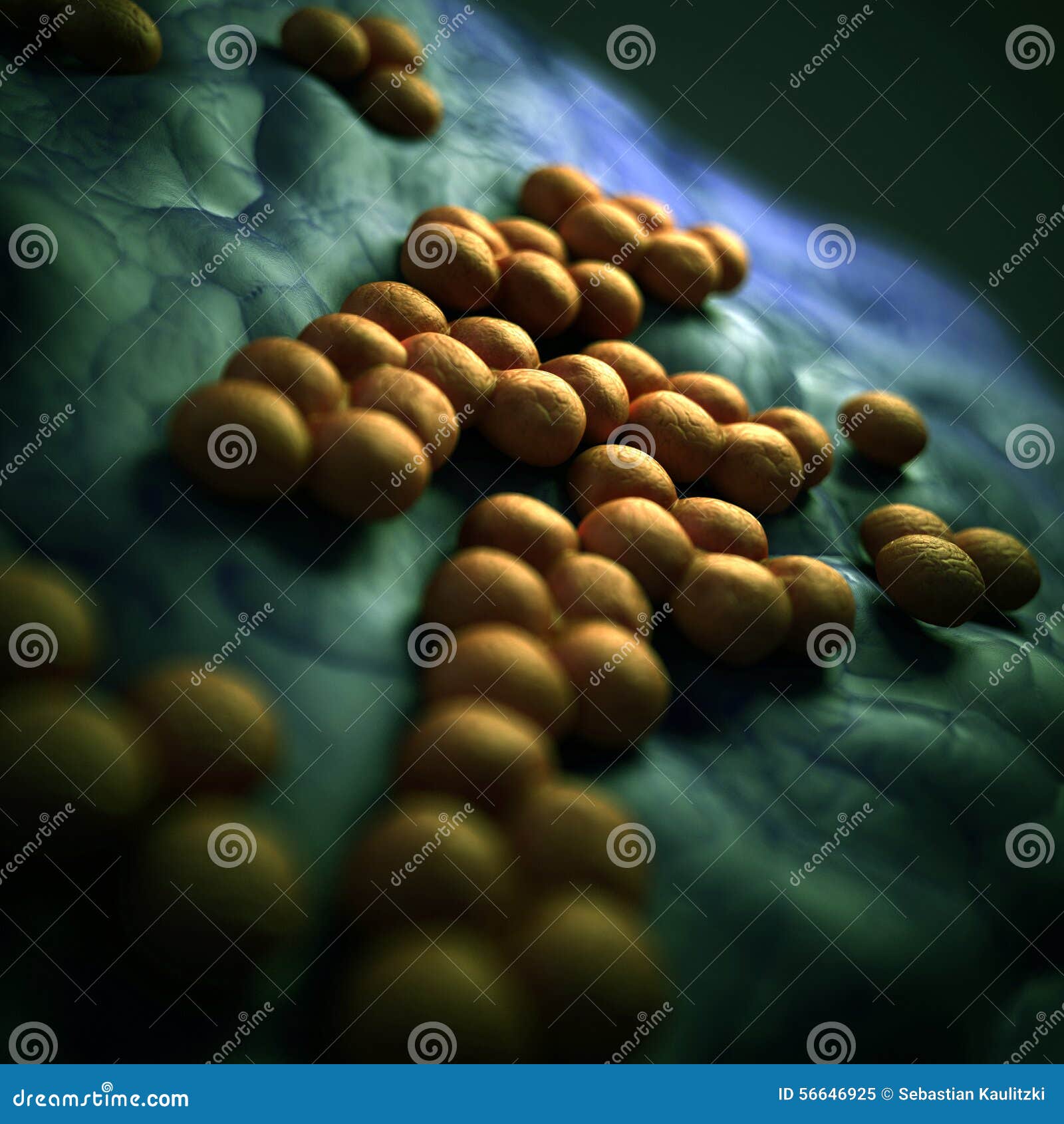 The mrsa - close up stock illustration. Illustration of molecular ...