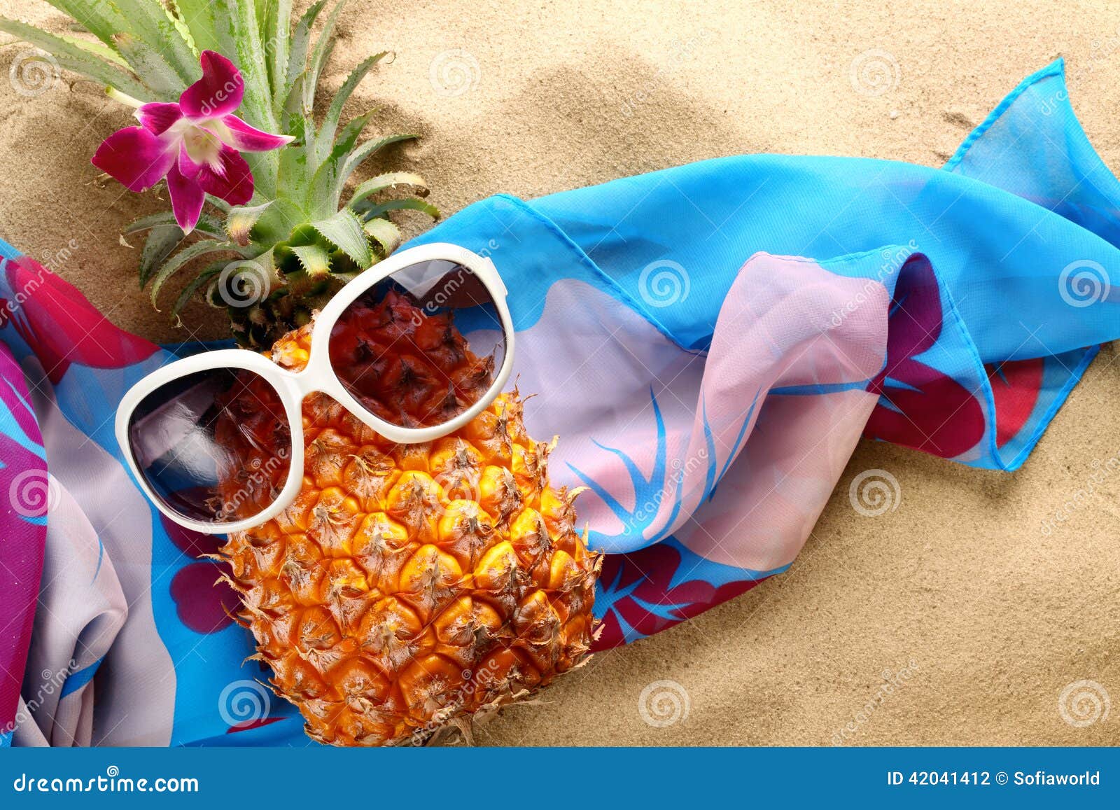 Ms pineapple stock photo. Image of fruity, accessory - 42041412