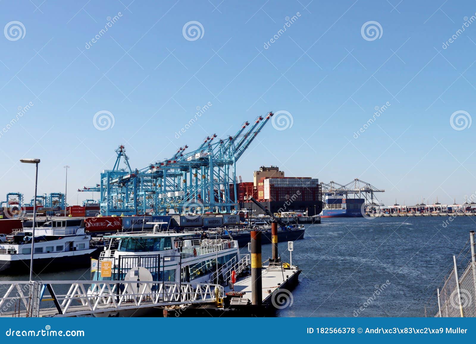 MSC Isabella Loading and Unloading Containers at the APM Terminals in ...
