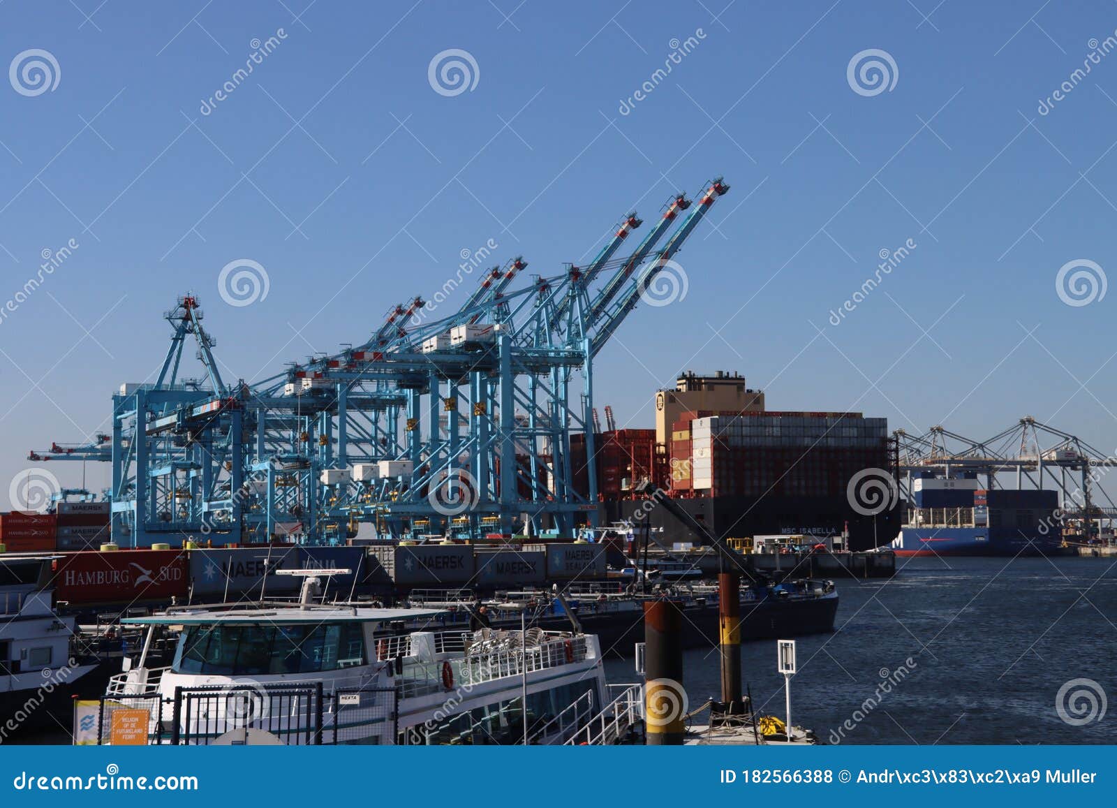 MSC Isabella Loading and Unloading Containers at the APM Terminals in ...