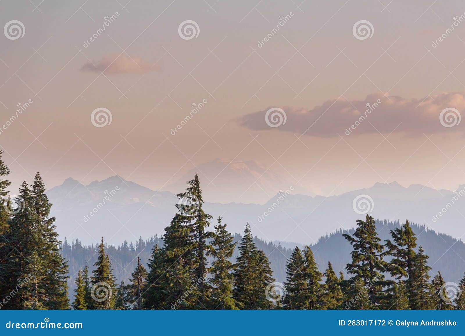 Mt Adams stock photo. Image of pacific, autumn, national - 283017172