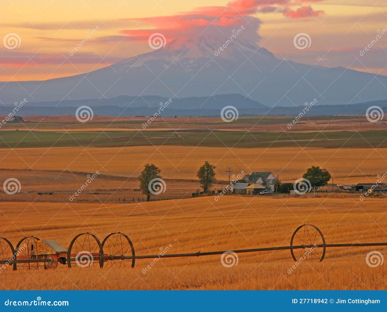 Mt Adams Wheat Country stock photo. Image of vegetation - 27718942
