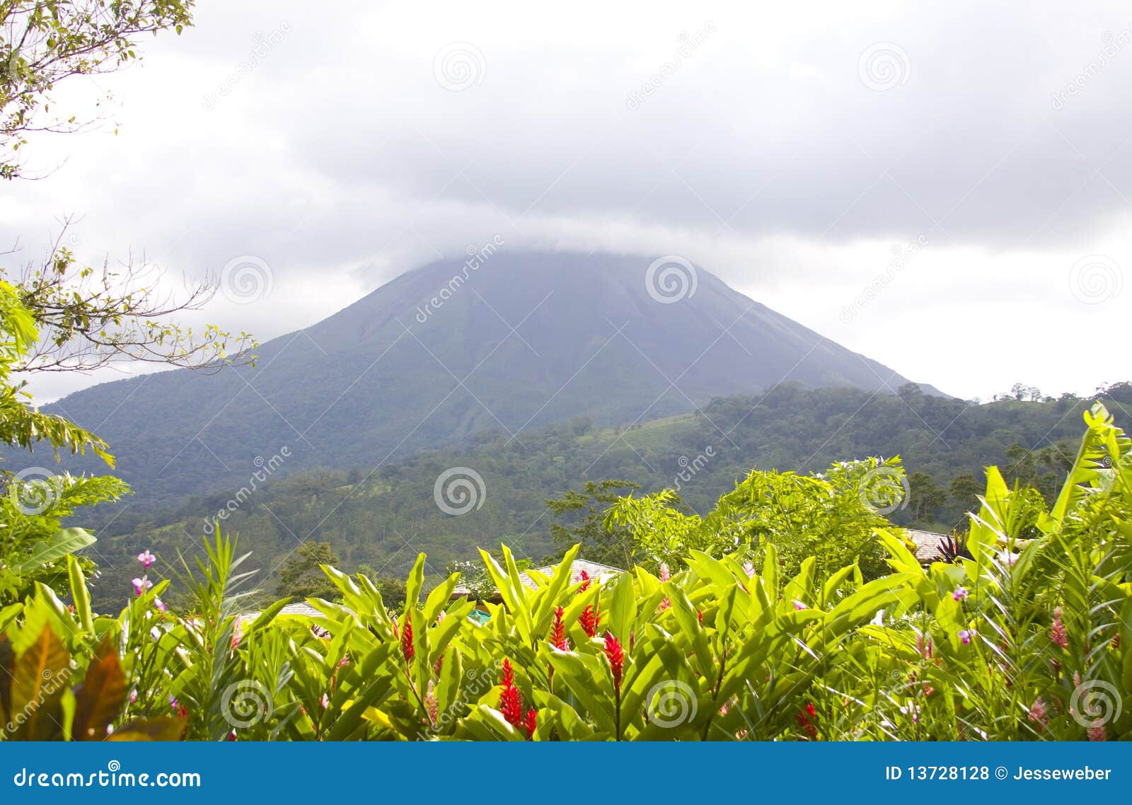 Mt. Arenal Volcano in Costa Rica Stock Photo - Image of flowers, arenal ...