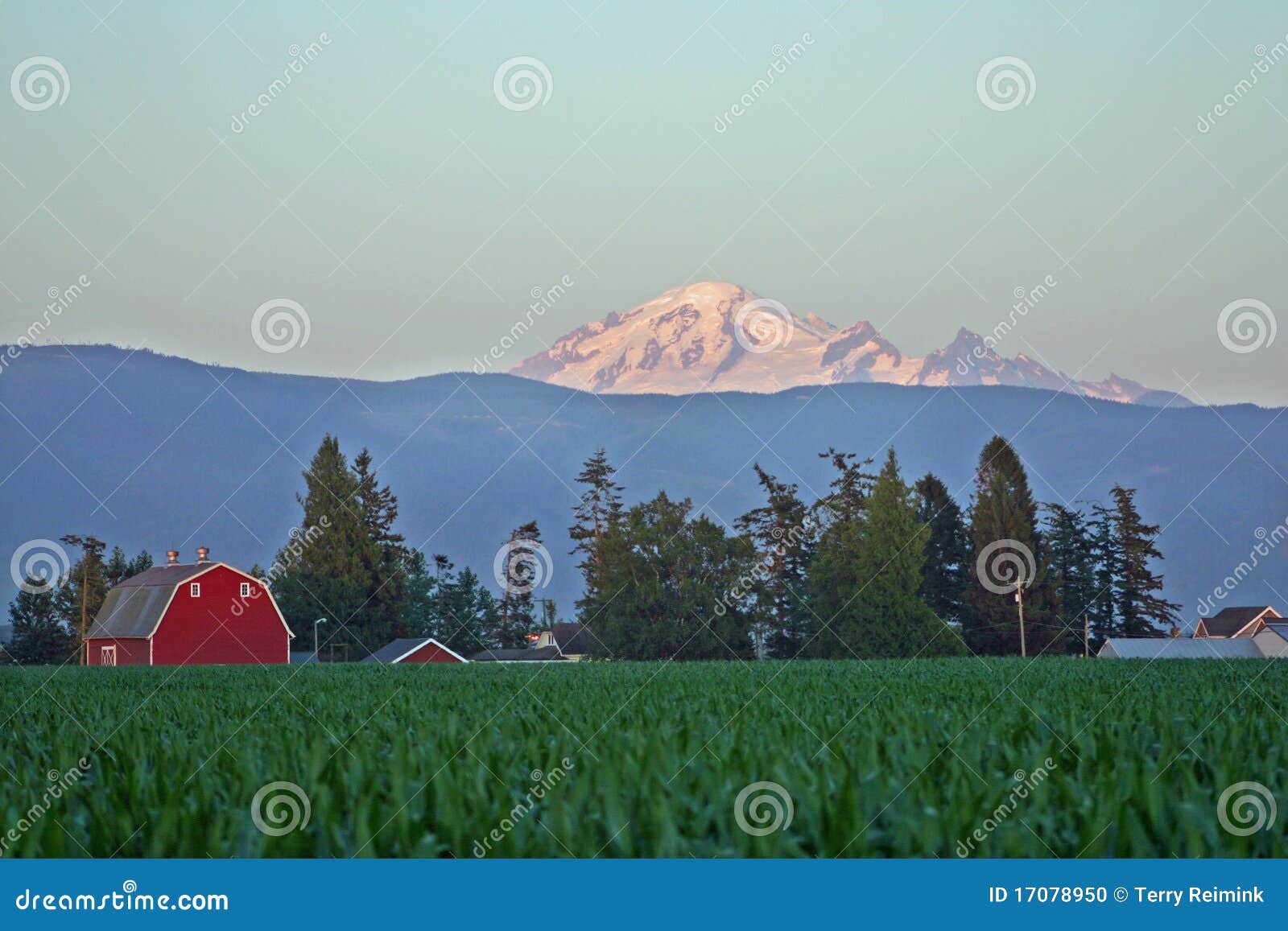 Mt Baker stock photo. Image of farm, baker, cascades - 17078950