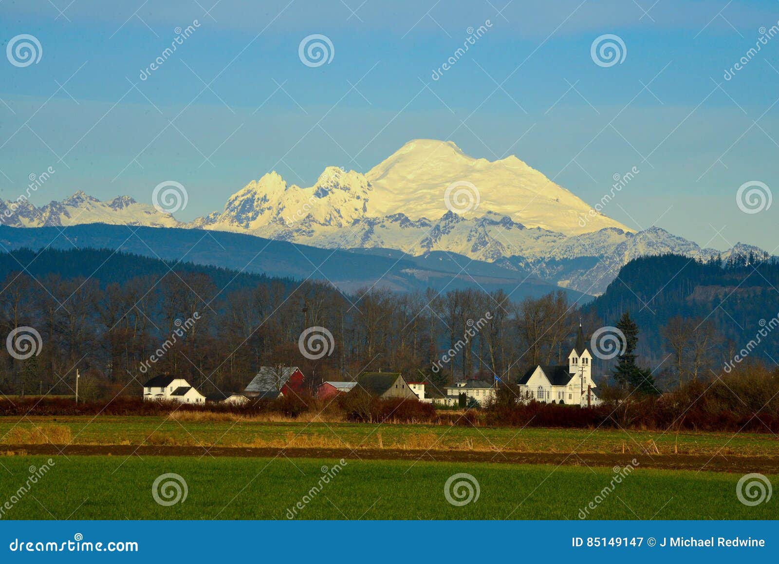 Mt Baker As Backdrop To Conway, WA Stock Image - Image of trees ...