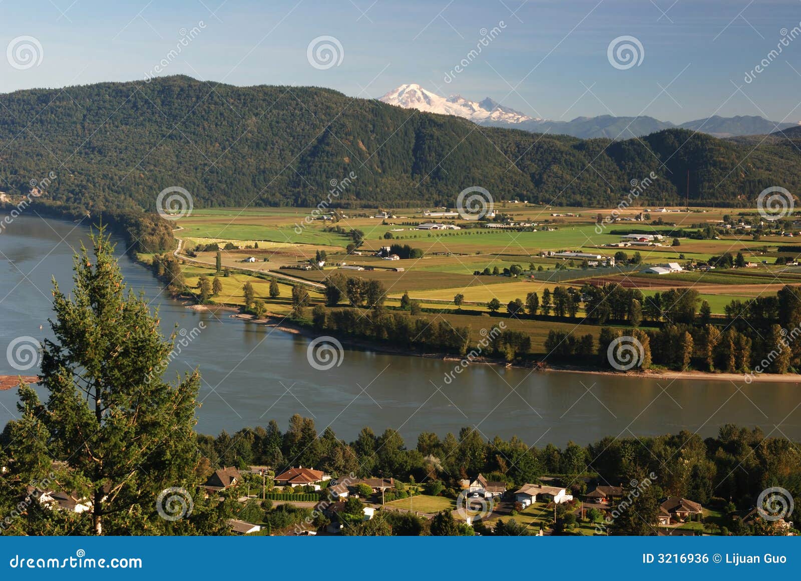Fraser Valley Blueberry Farm In Winter Stock Photography ...