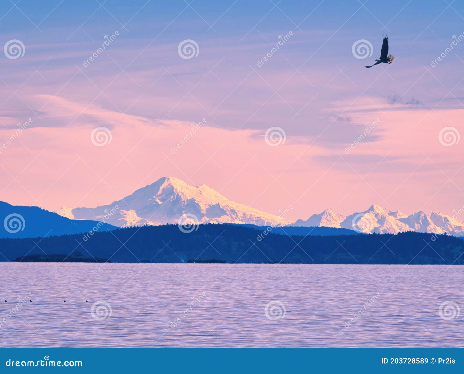 Mt. Baker View from Island View Beach Stock Image - Image of beautiful ...