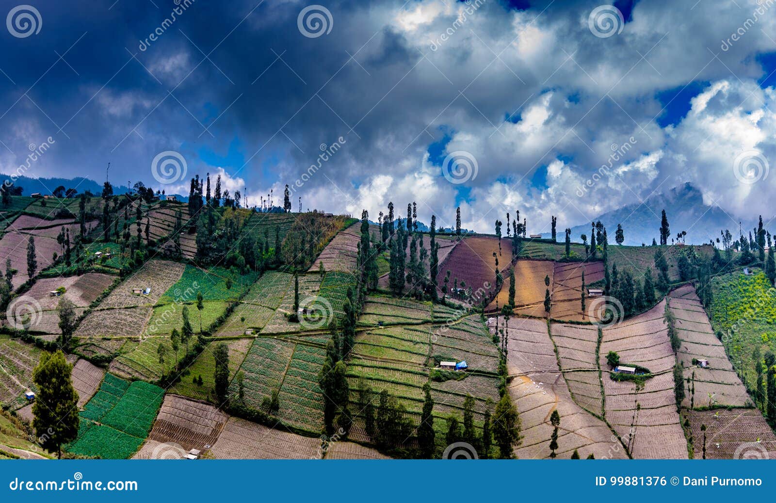 Mt Bromo Fields, Malang, East Java Stock Photo - Image of jakarta ...