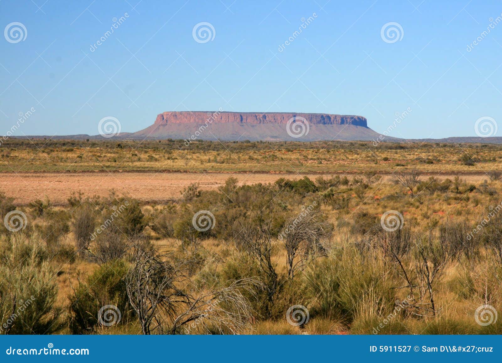 Mt Connor, Australia stock image. Image of bush, grassy - 5911527