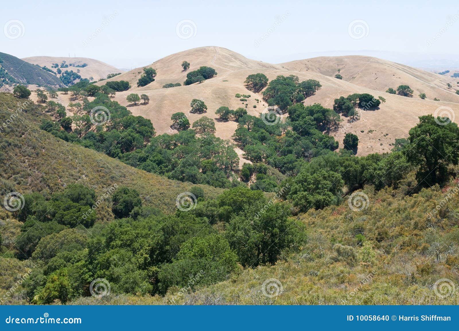 Mt. Diablo view stock photo. Image of drive, park, view - 10058640