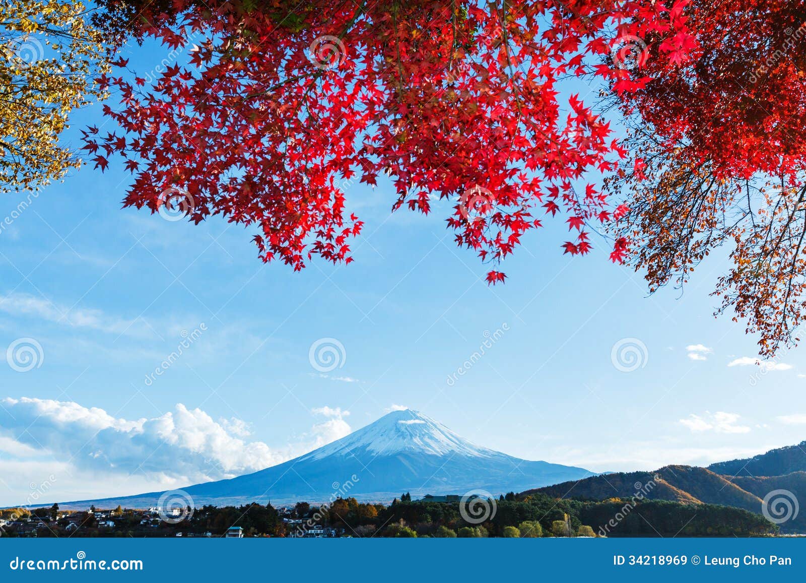 Mt. Fuji in autumn stock image. Image of reed, fuji, fall - 34218969