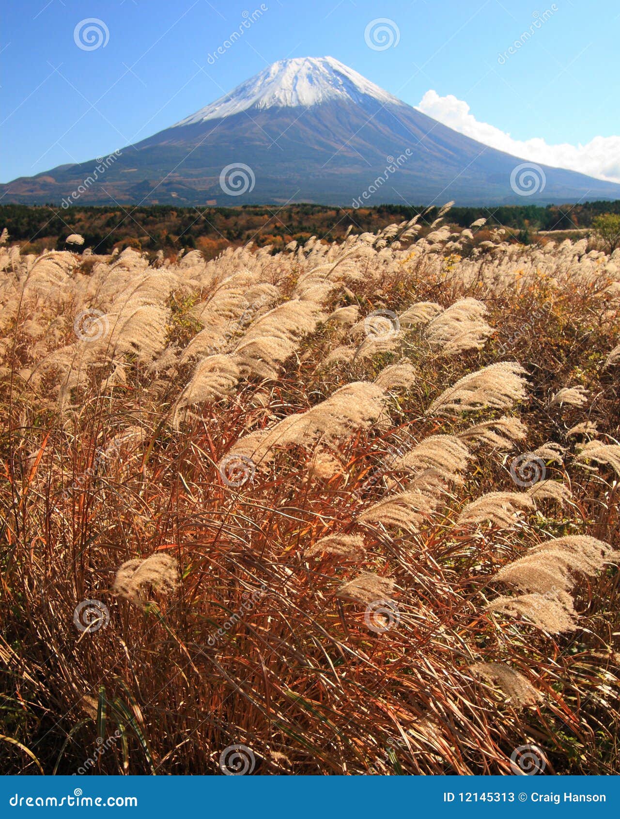 Mt. Fuji in Fall stock image. Image of japanese, wind - 12145313