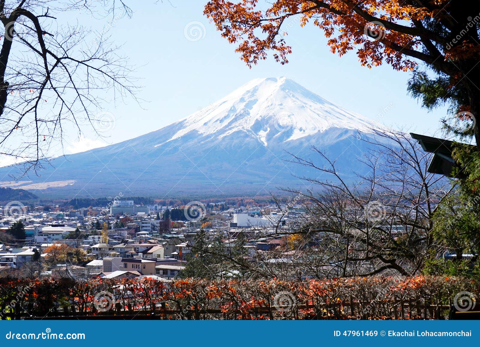 Mt. Fuji with Fall Colors in Japan. Stock Image - Image of leaves ...