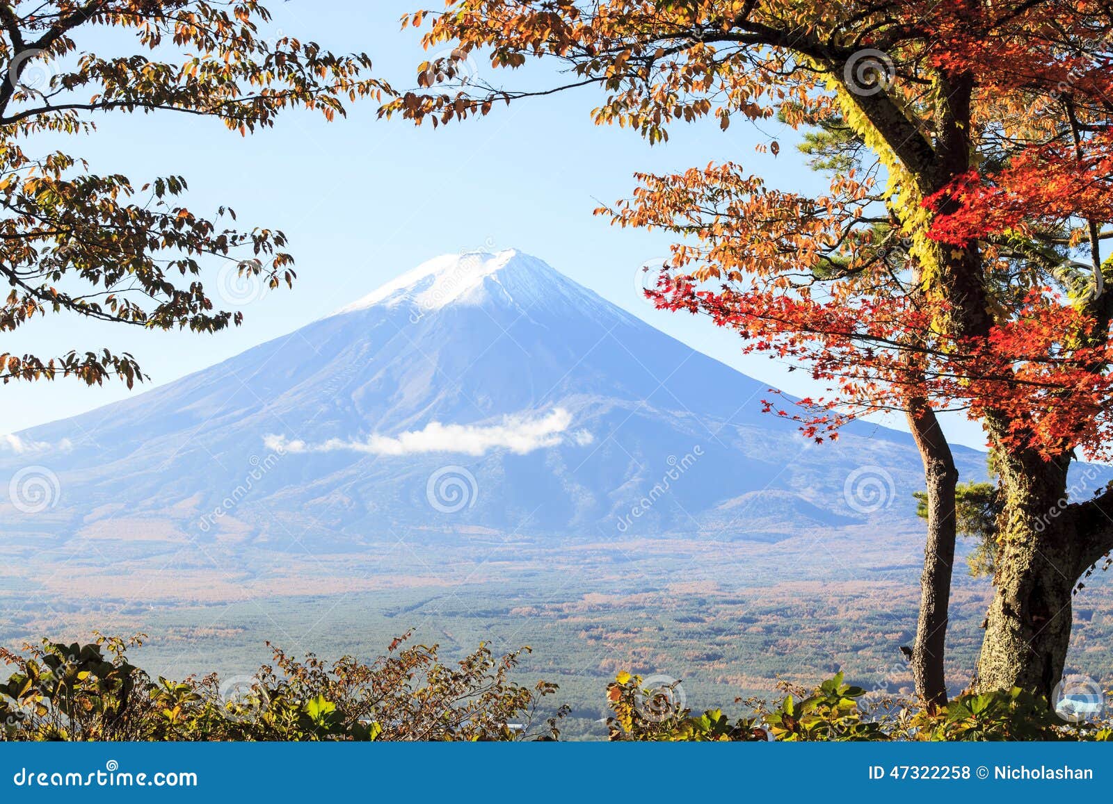 Mt. Fuji with Fall Colors in Japan Stock Photo - Image of fall ...