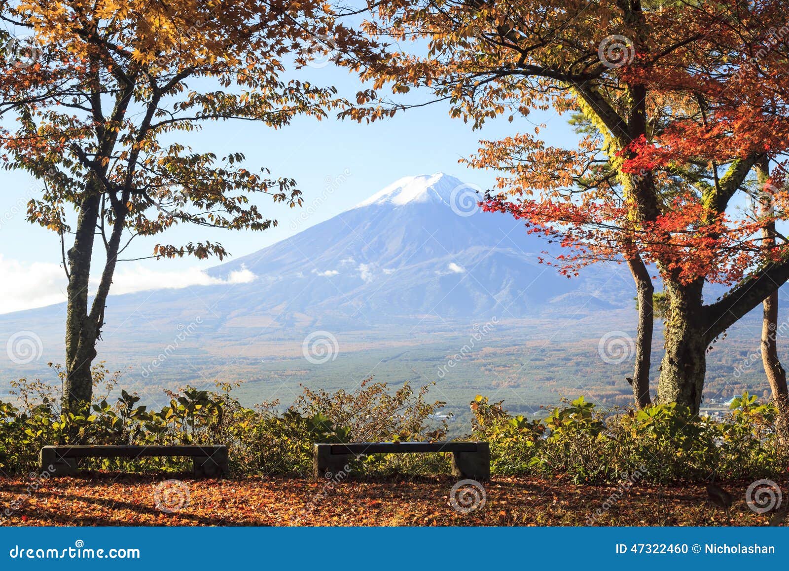 Mt. Fuji with Fall Colors in Japan Stock Photo - Image of fujigoko ...