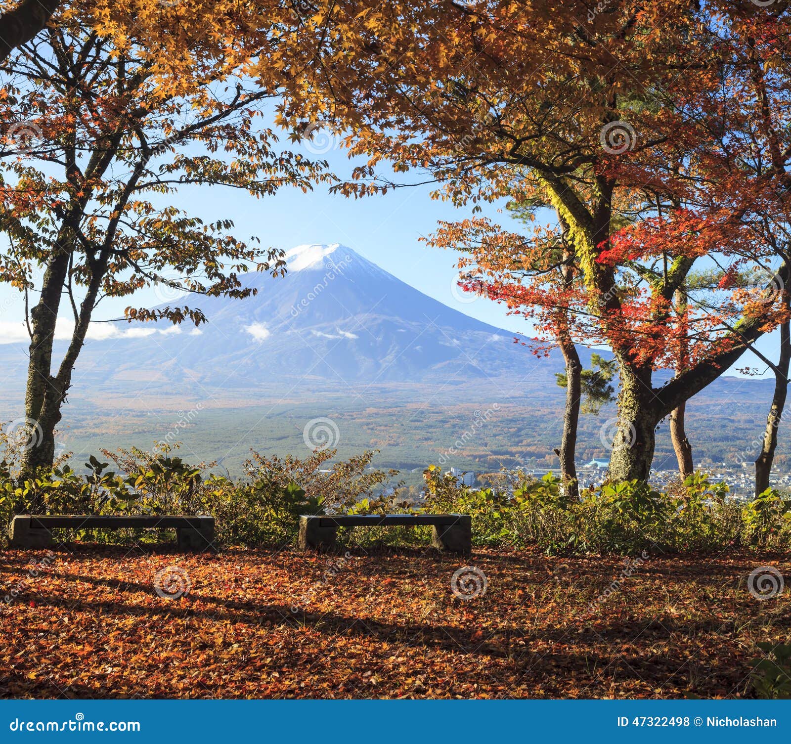 Mt. Fuji with Fall Colors in Japan Stock Photo - Image of seasonal ...