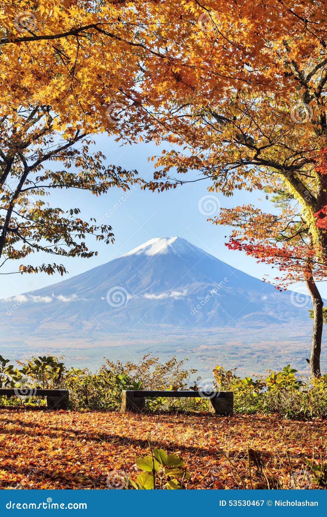 Mt. Fuji with Fall Colors in Japan Stock Image - Image of kawaguchi ...