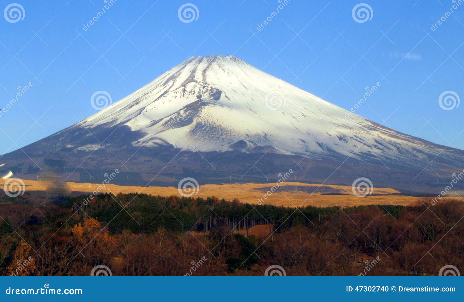 Mt. Fuji in the Fall stock photo. Image of fall, snow - 47302740