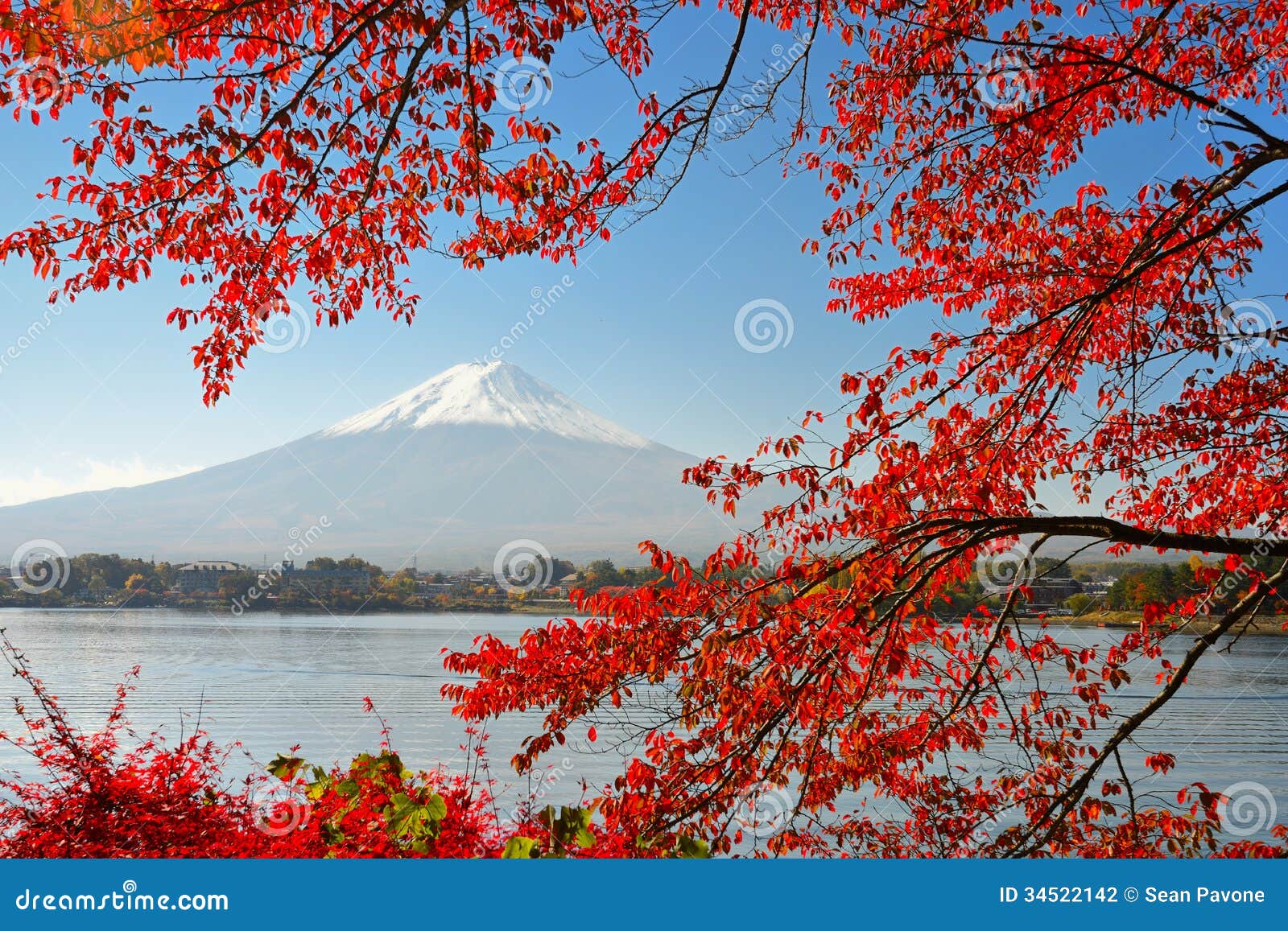 Mt Fuji stock photo. Image of asia, autumn, leaves, lake - 34522142