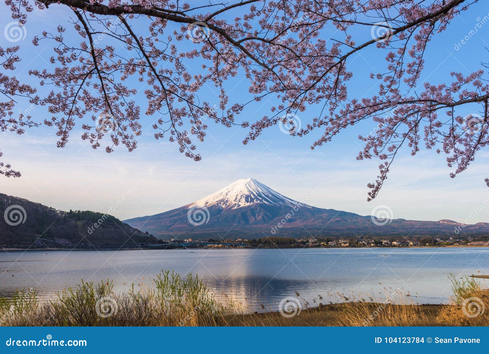 Mt. Fuji in Spring stock photo. Image of scene, scenic - 104123784