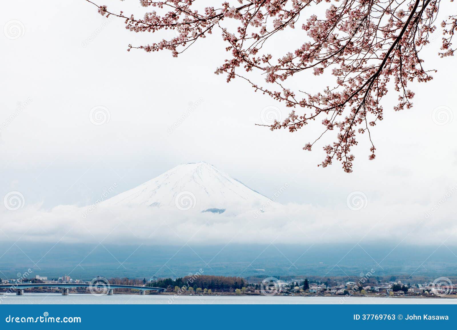 Mt Fuji and Pink Cherry Blossom in Japan Stock Image - Image of ...