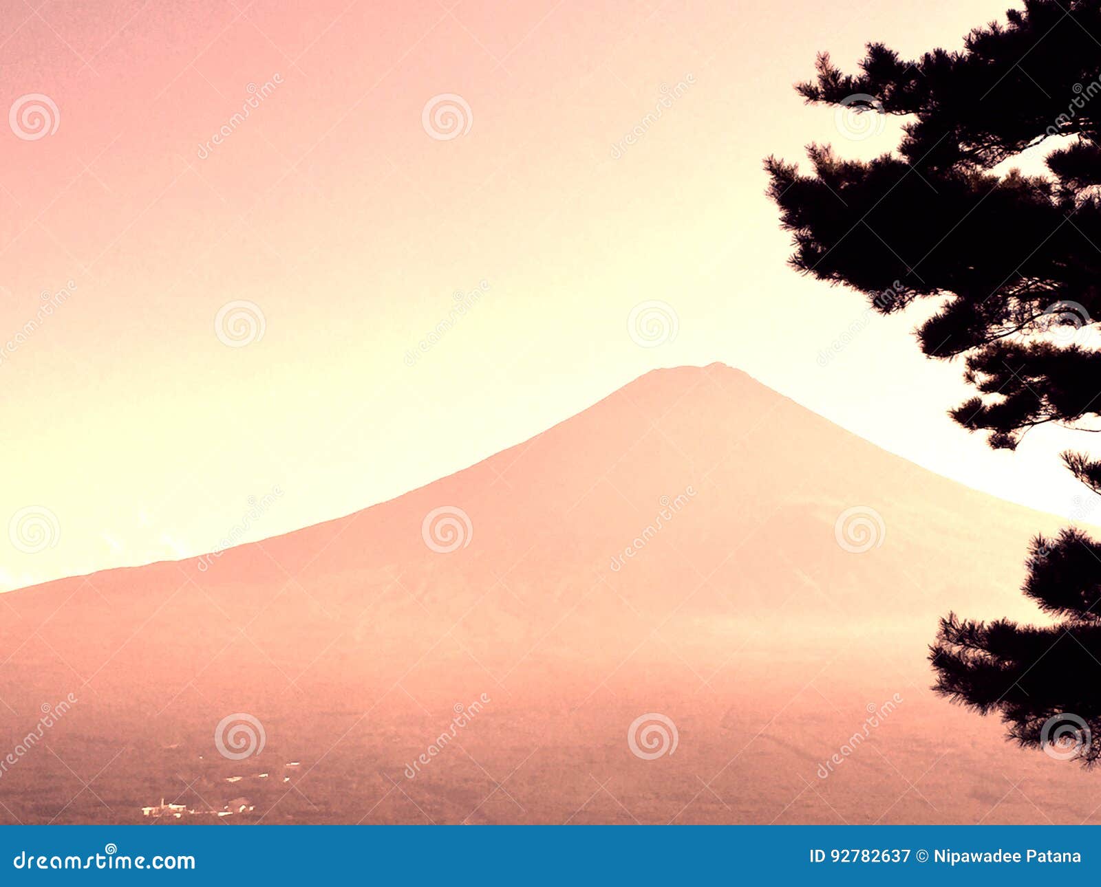 Mt Fuji And Pink Cherry Blossom In Japan Royalty-Free Stock Photo ...