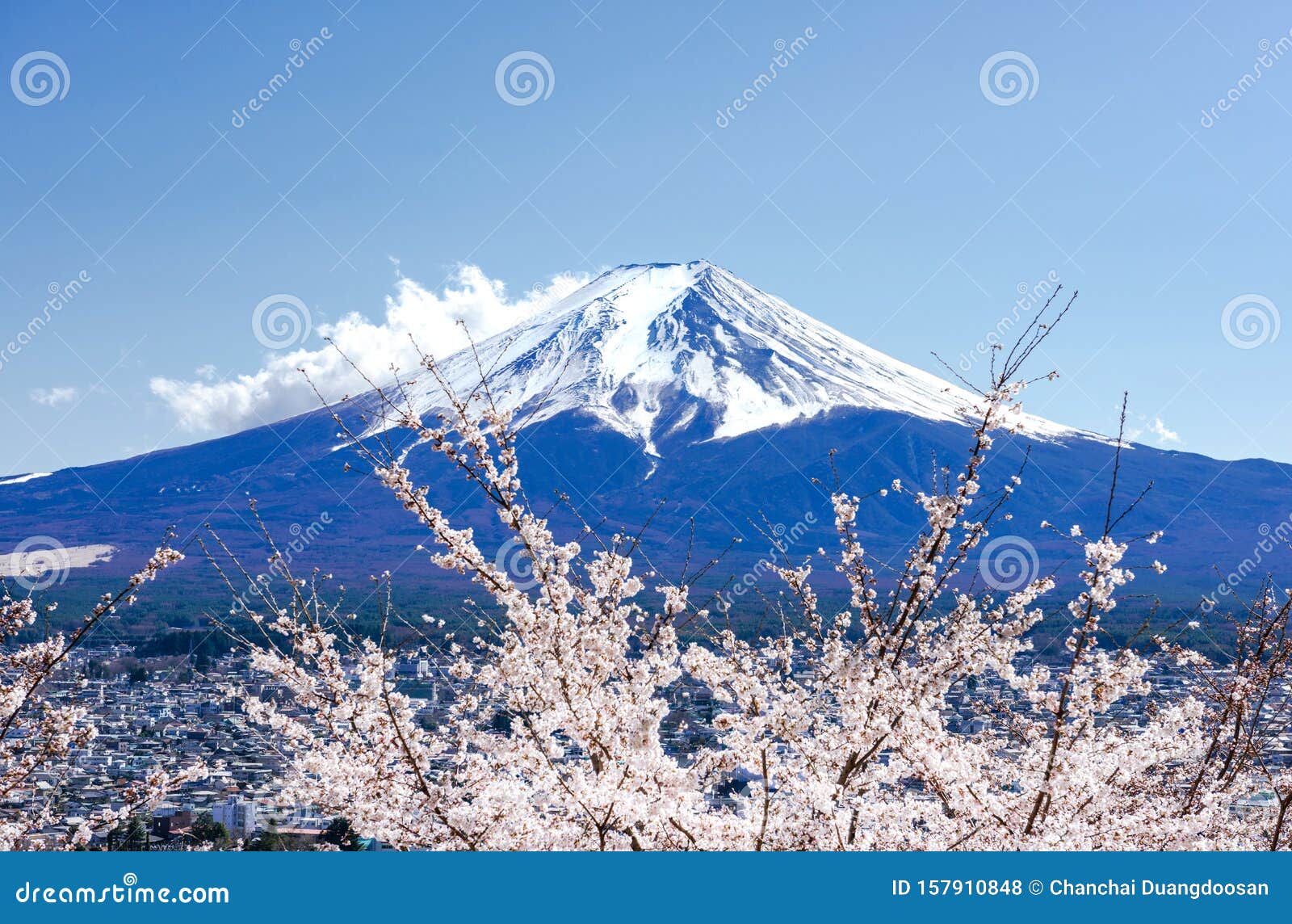 Mt. Fuji, Spring Landscape Japan Stock Photo - Image of garden, asia ...