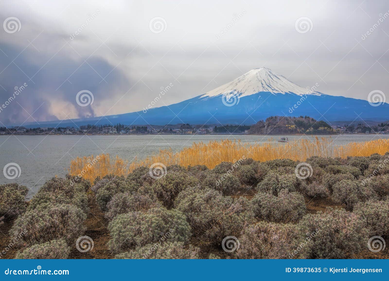 Mt Fuji stock image. Image of plant, mountain, kawaguchi - 39873635