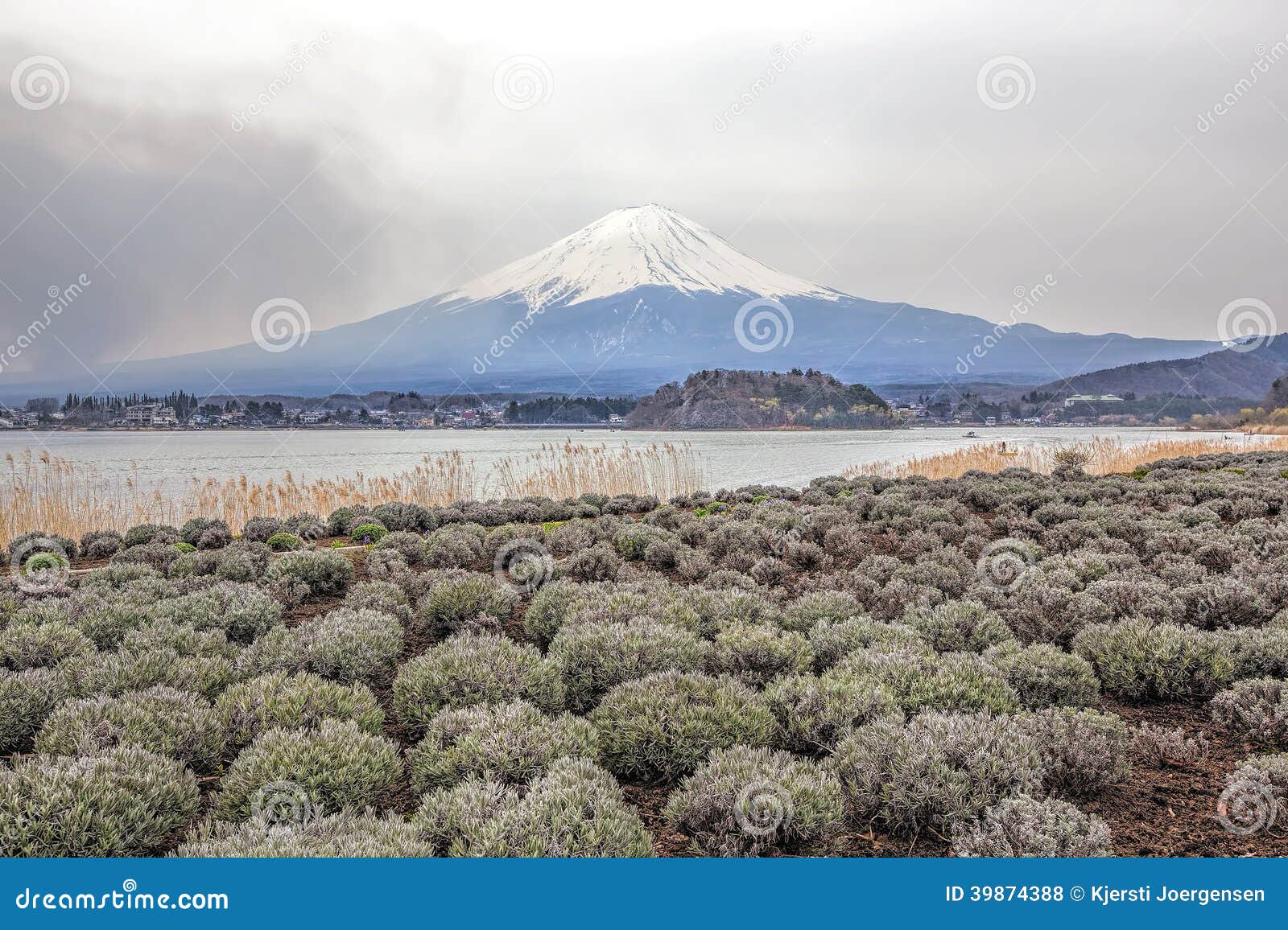 Mt Fuji stock photo. Image of japan, sightseeing, sunset - 39874388