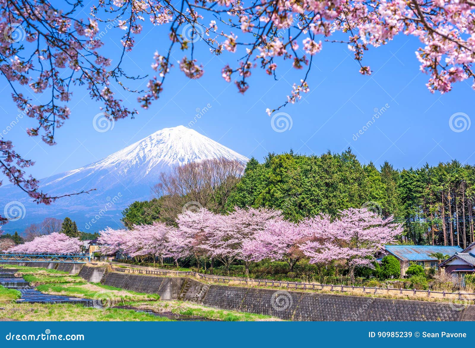 Mt. Fuji in Spring stock image. Image of landscape, foliage - 90985239