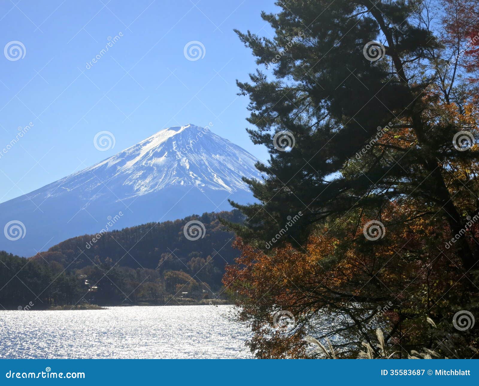 Mt. Fuji and Trees stock image. Image of beautiful, tourism - 35583687