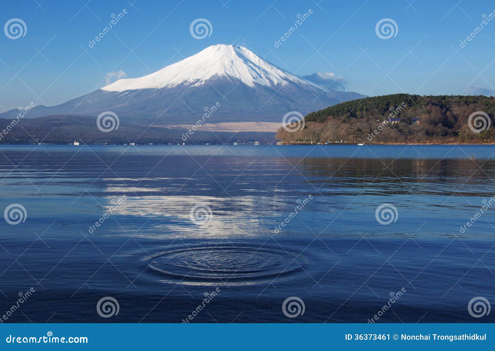 Mt.Fuji stock image. Image of moutain, asian, lake, icon - 36373461