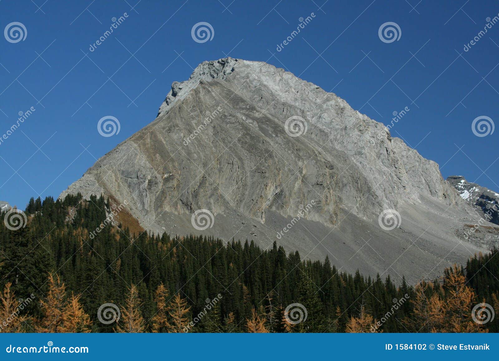 Mt Galatea, Showing Thrust Faults Stock Photo - Image of rockies ...
