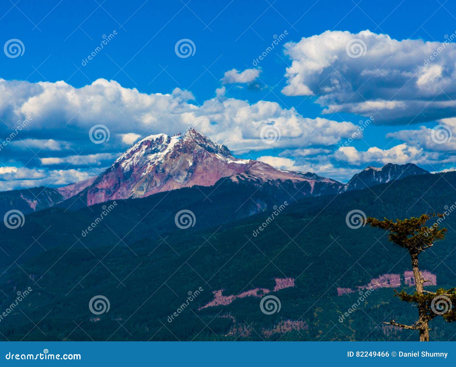Mt Garibaldi Squamish Canada Foto de archivo - Imagen de bosque ...