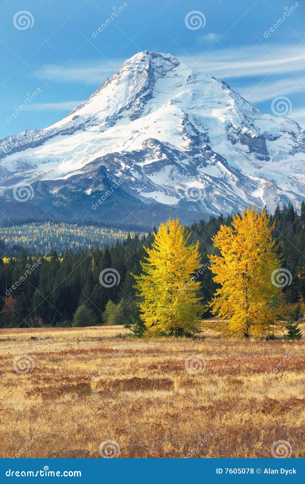 Mt Hood in Fall from Eastside Stock Photo - Image of northwest ...