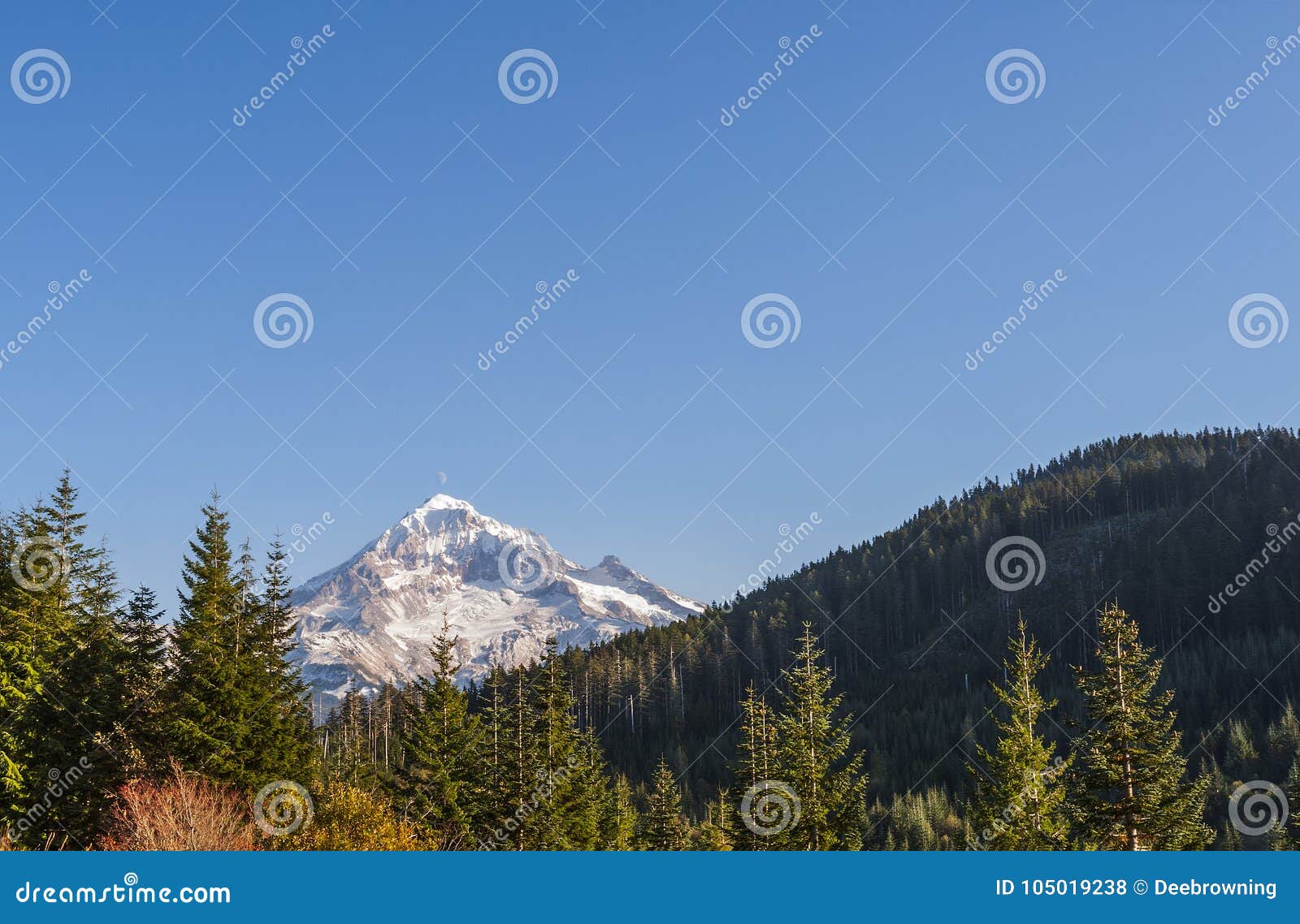 MT Hood from Lolo Pass Mt Hood National Forest Stock Foto - Image of ...