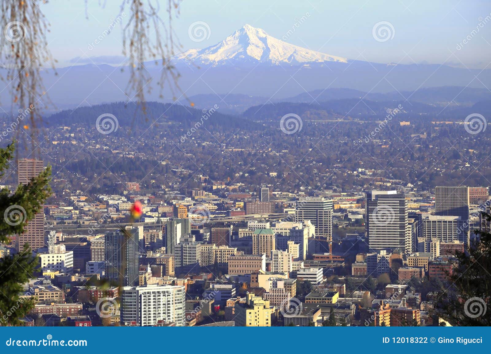 Mt. Hood & a Portland Panorama. Stock Photo - Image of bridges, hood ...