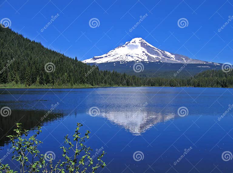 Mt. Hood reflection stock photo. Image of slope, isolation - 2552186