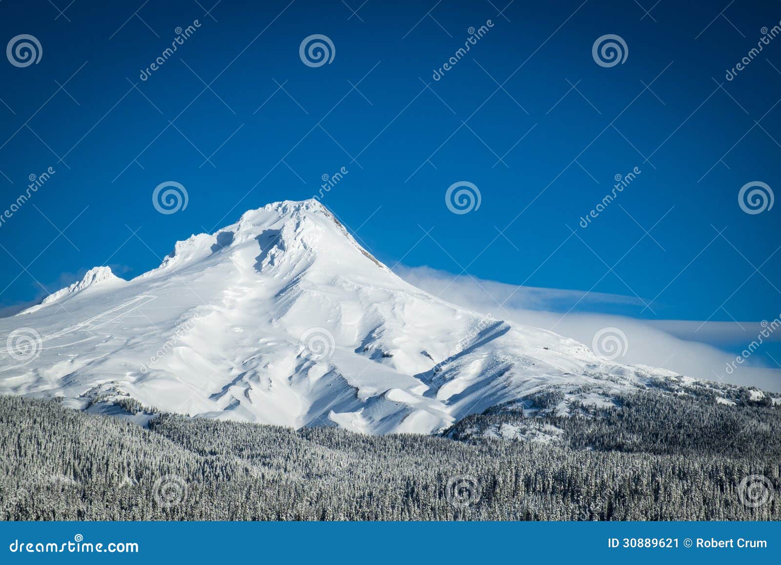 Mt. Hood, winter, Oregon stock image. Image of dormant - 30889621