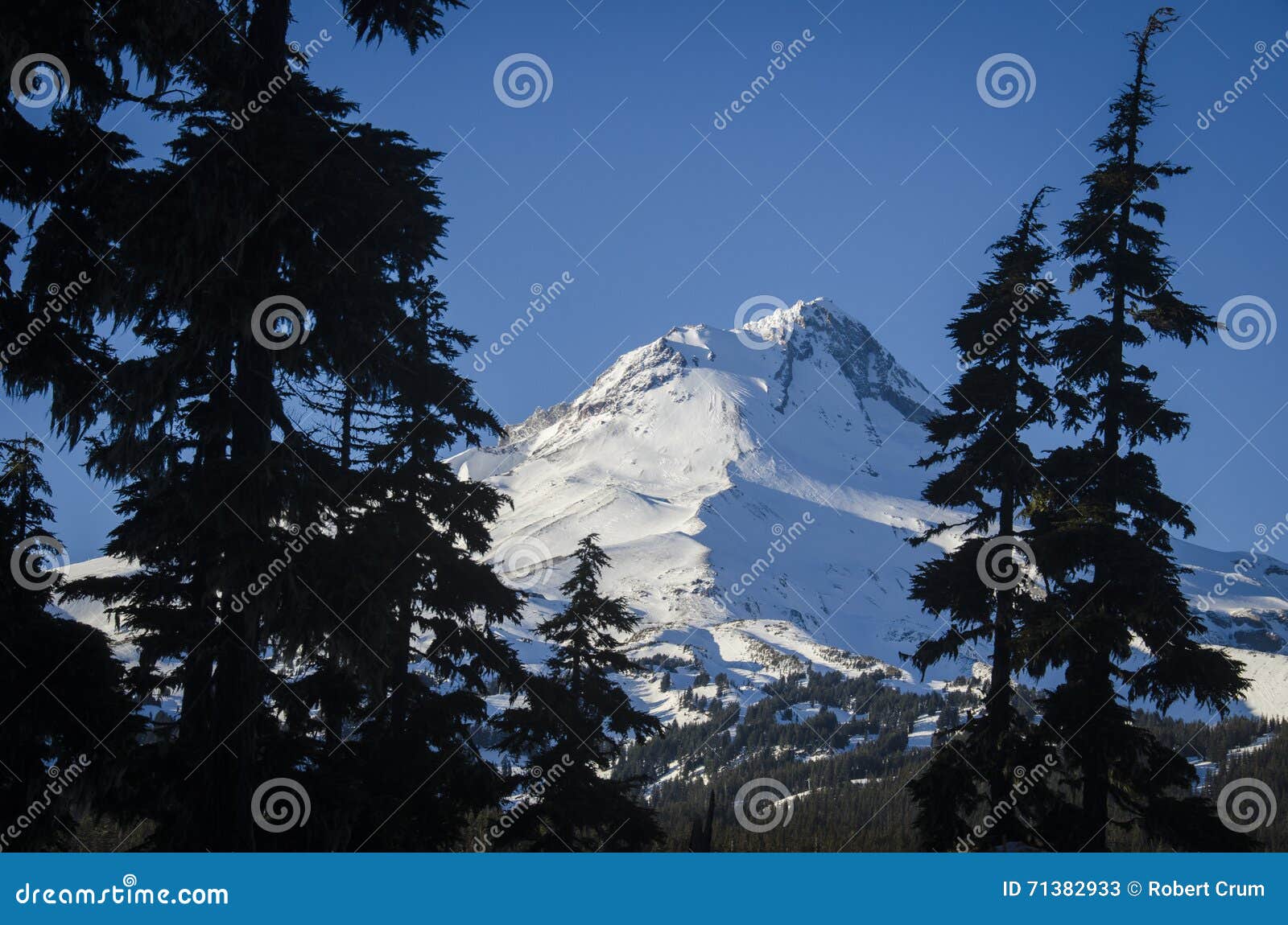 Mt. Hood, winter, Oregon stock image. Image of range - 71382933