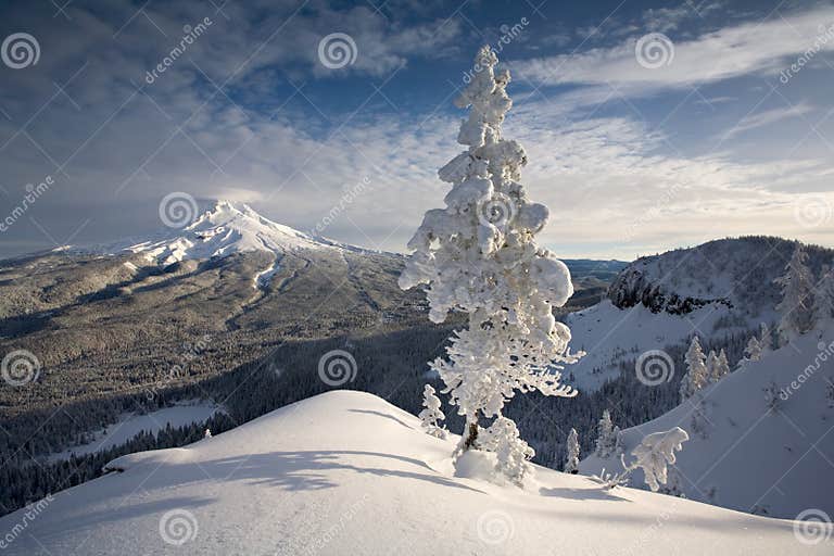 Mt Hood Winter Scene stock photo. Image of frozen, cold - 5043100