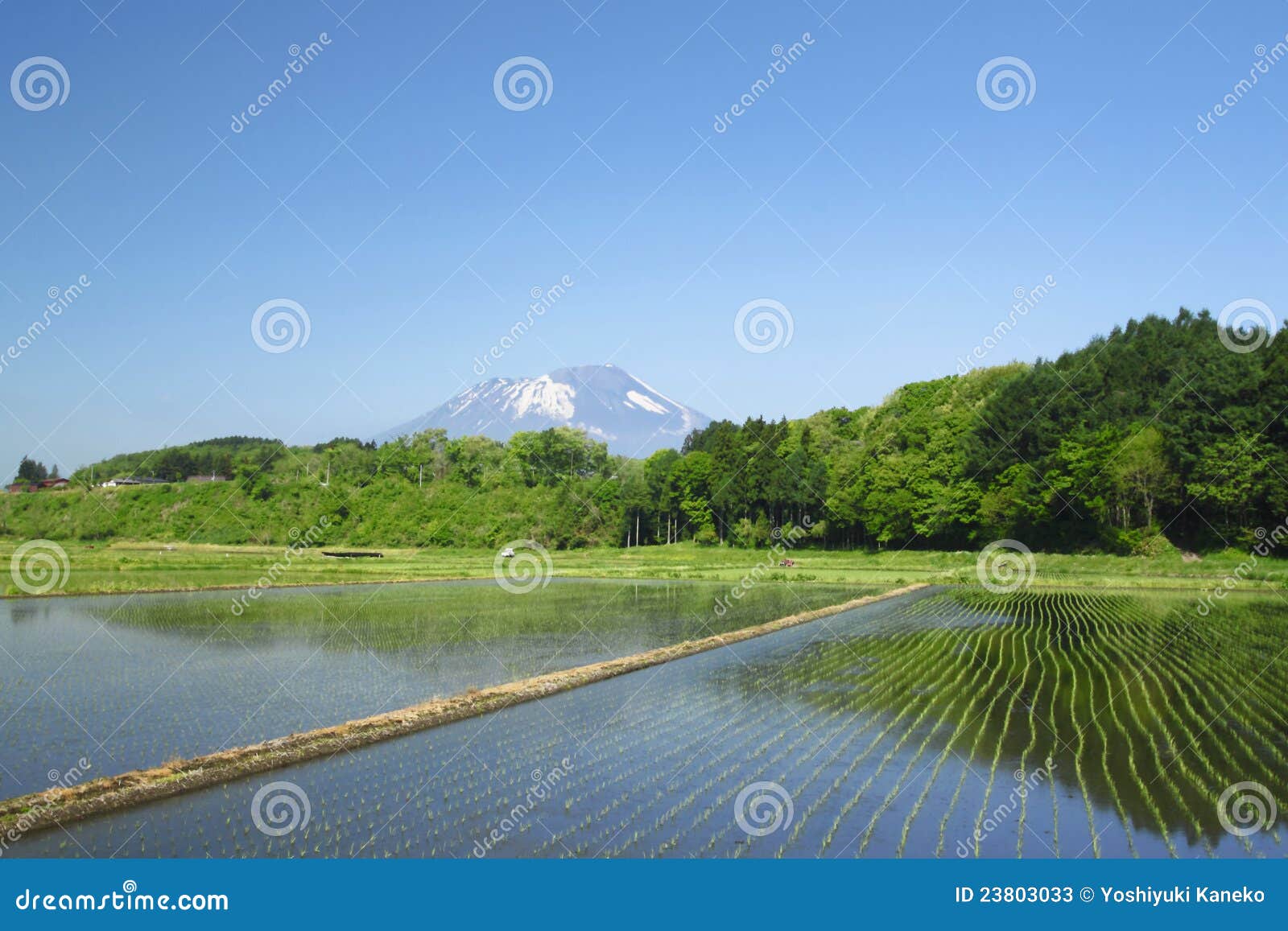 Mt.Iwate and Pastoral Landscape Stock Image - Image of farm, mountain ...