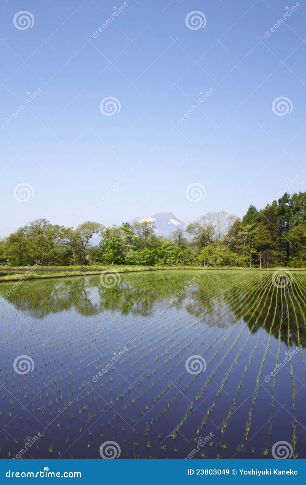 Mt.Iwate and Pastoral Landscape Stock Image - Image of nature, green ...