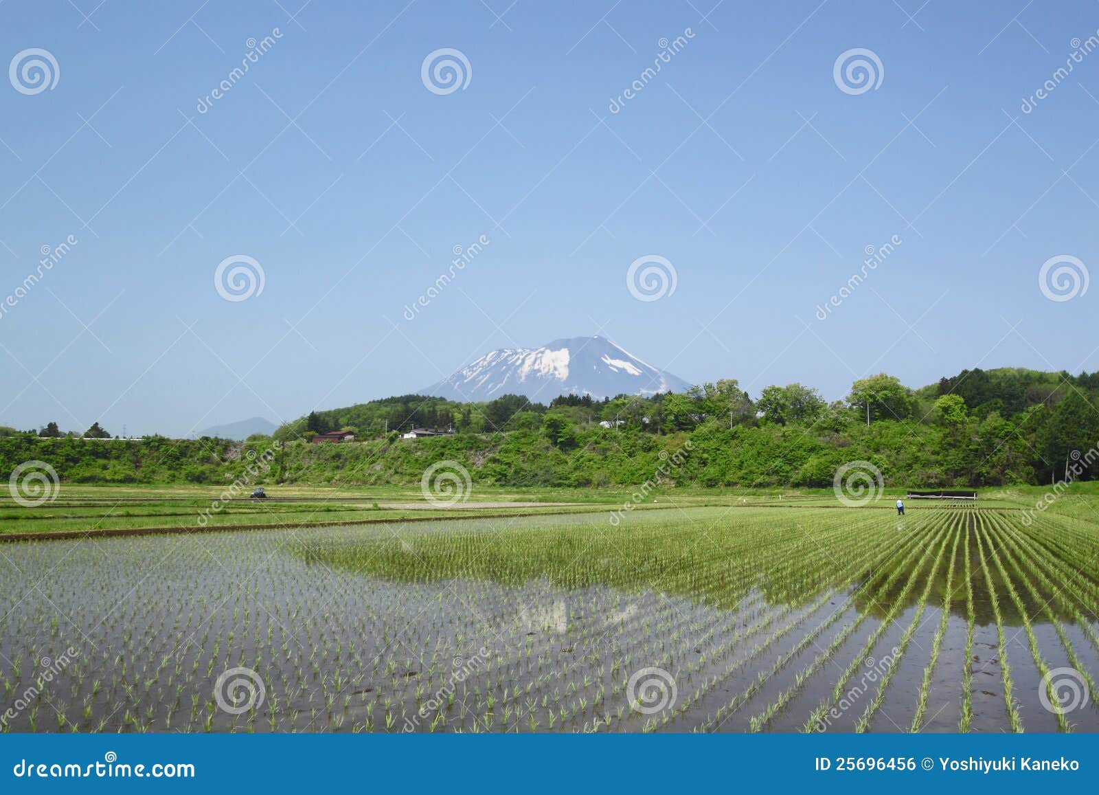 Mt.Iwate and Pastoral Landscape Stock Photo - Image of nature, pastoral ...