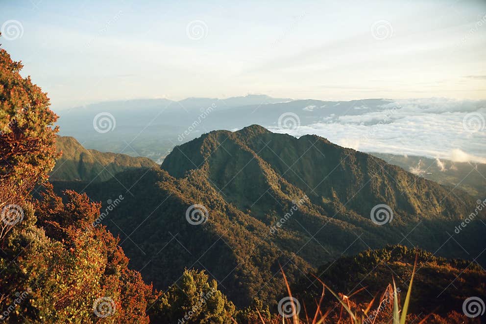 Mt. Kitanglad Mountain Range Stock Image - Image of range, mountains ...