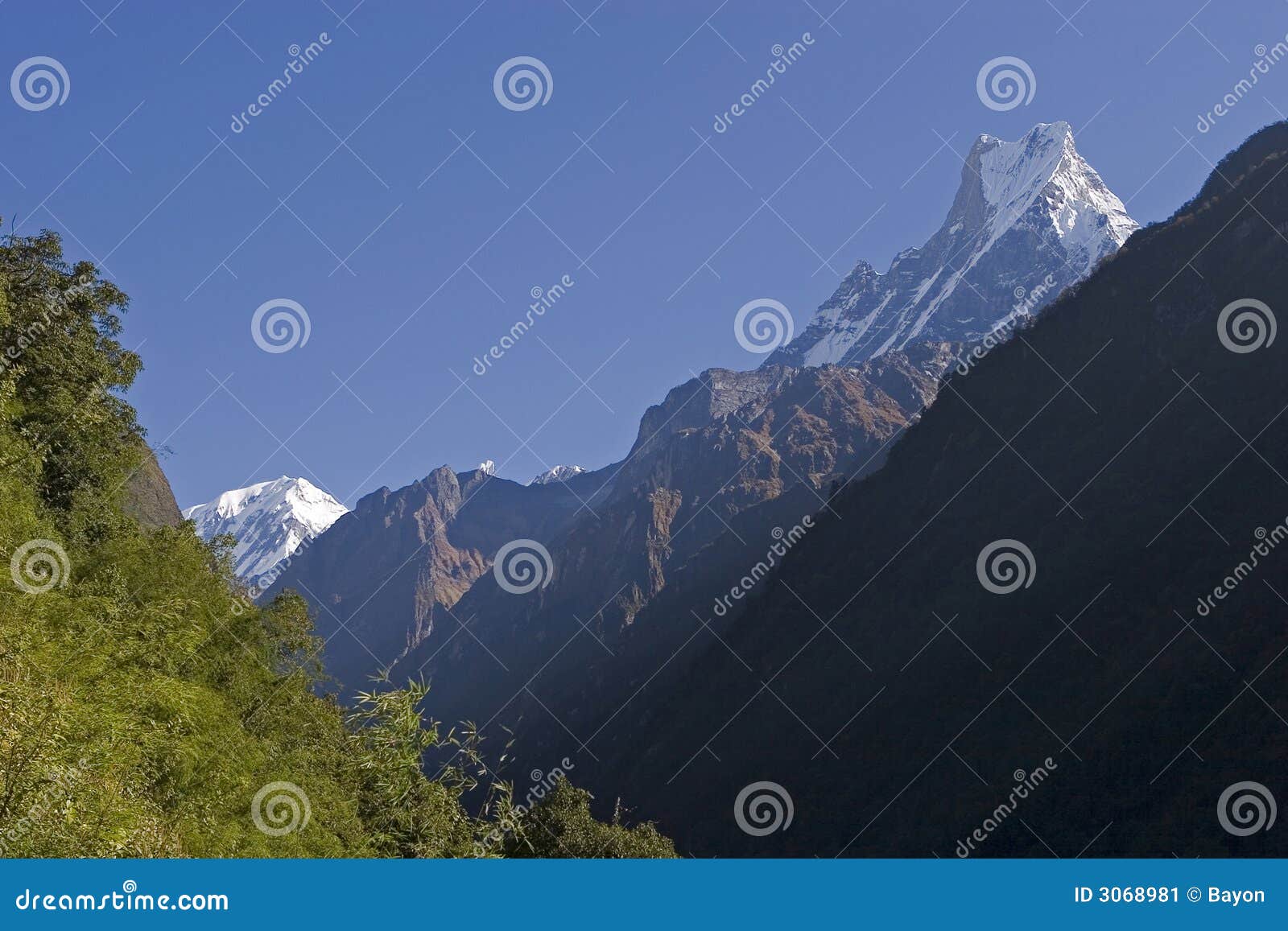 Mt. Machhapuchhare stock image. Image of fish, asia, camp - 3068981