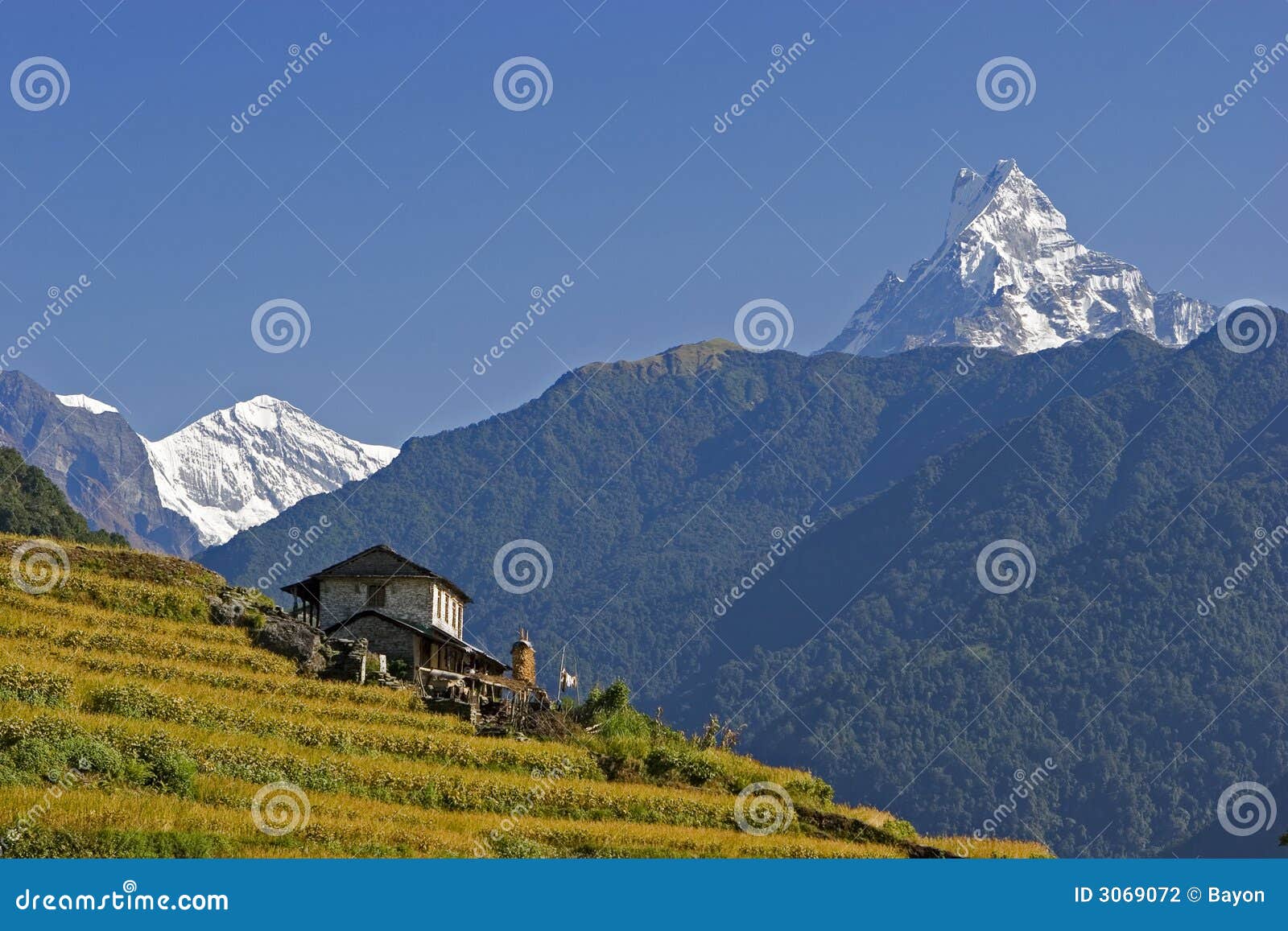 Mt. Machhapuchhare and Village Stock Photo - Image of field, trek: 3069072