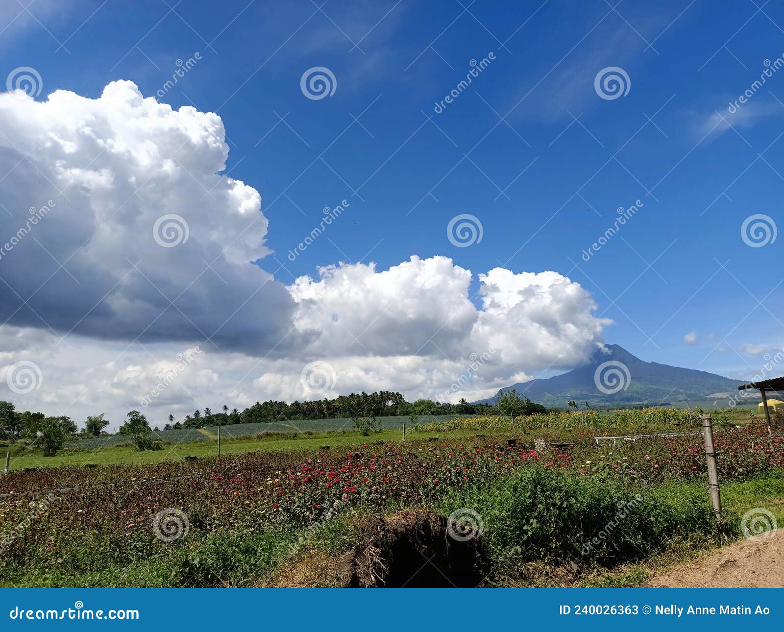 Mt. Matutum stock image. Image of matutum, cloudy, active - 240026363