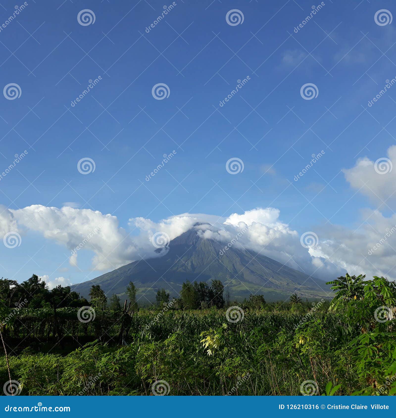 Mt Mayon стоковое фото. изображение насчитывающей пробовать - 126210316