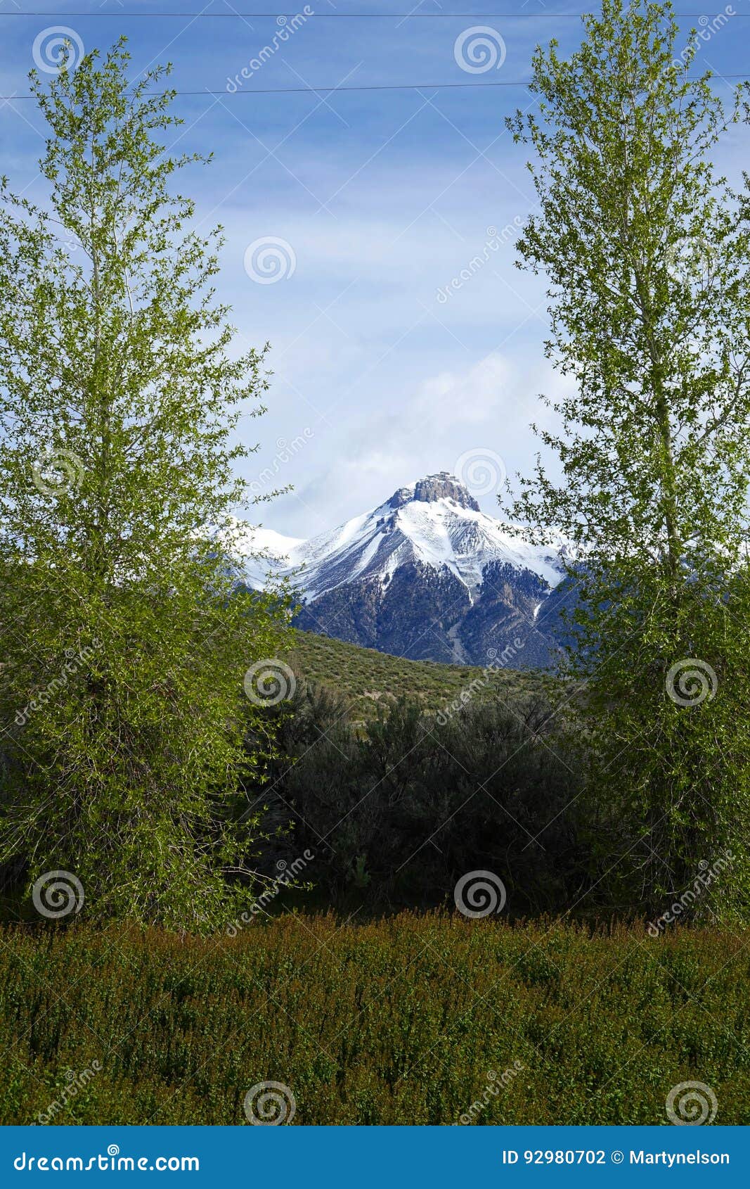 Mt. McCaleb Near Mackay, Idaho Stock Photo - Image of river, mccaleb ...
